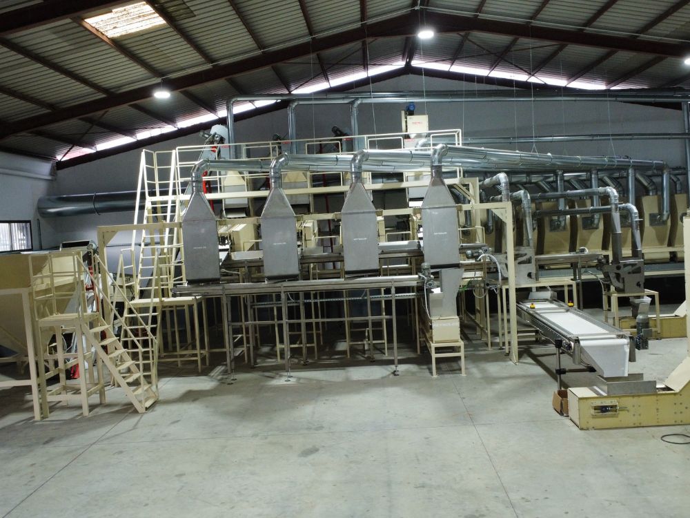 Almond Processing Factory – Agro Concept